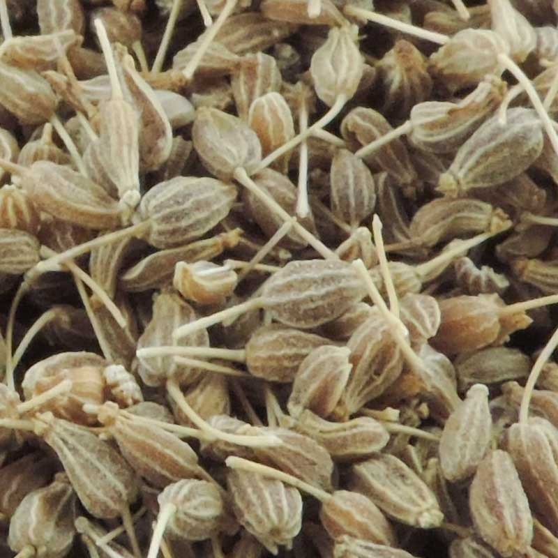 ESPECIAS - ANÍS SEMILLA - Granel Arte